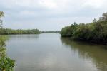 Talibon Mangrove Co-Management Area